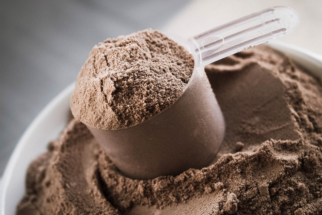 How Is Protein Powder Made? A Comprehensive Guide. – Thread Performance